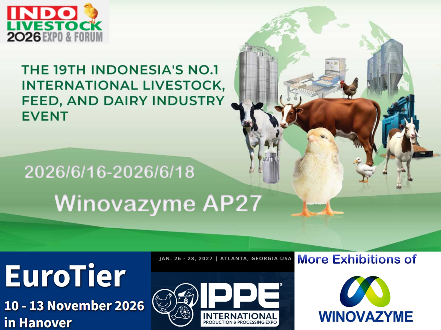 Winovazyme | Reliable Manufacturer for Enzyme Solutions